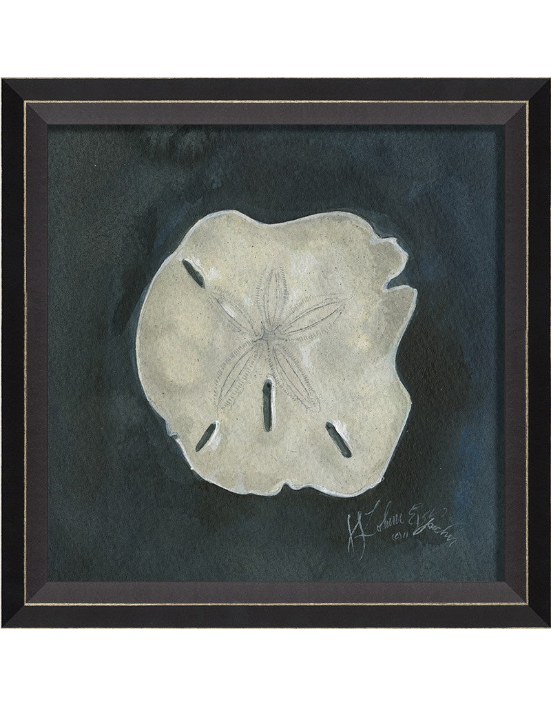 Sand Dollar Seashell Framed Print - Coastal Decor - Wall Art– Squan ...